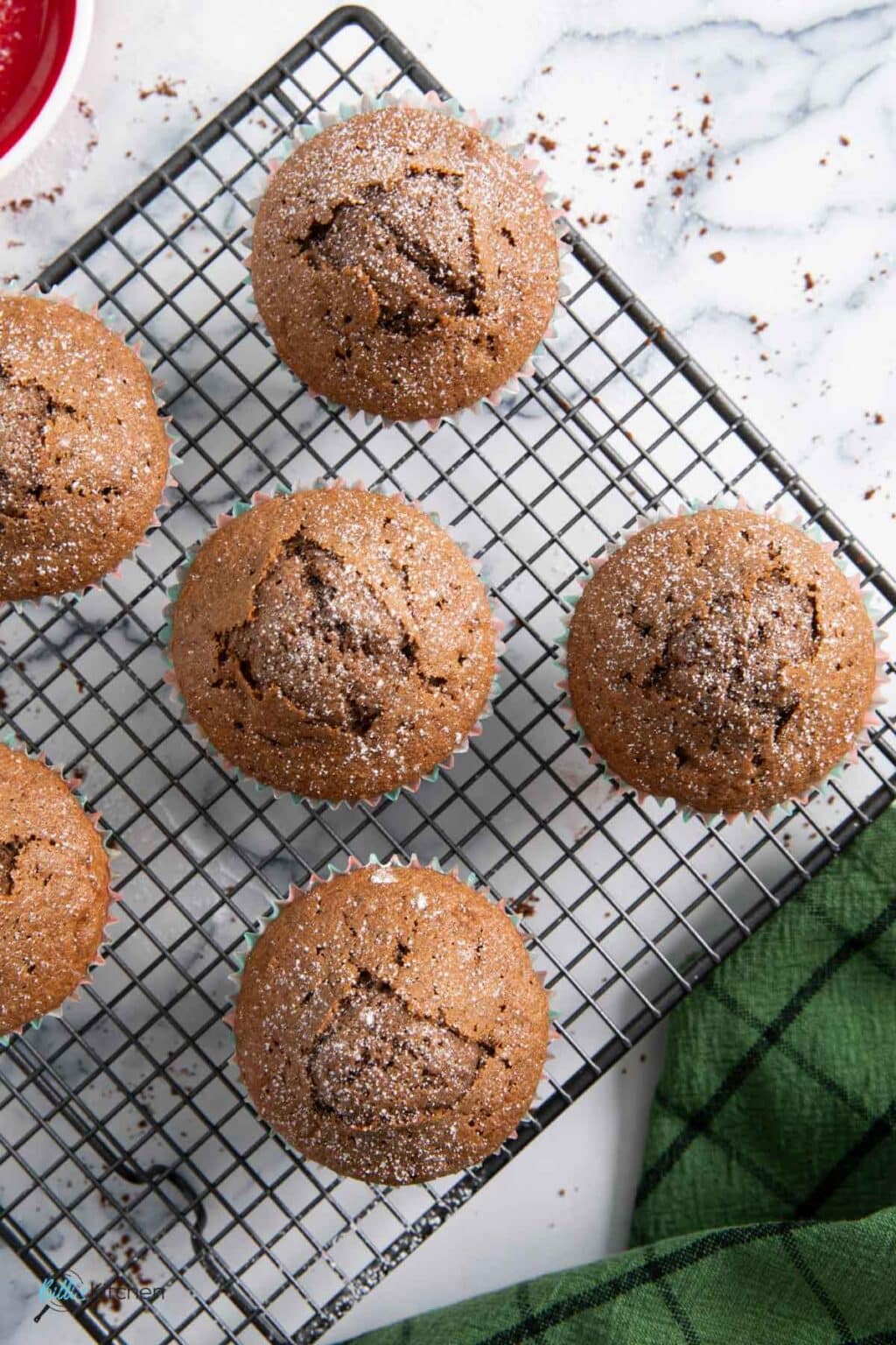 Cocoa Powder Muffins | Billi's Kitchen